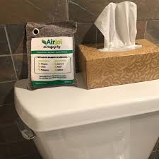 Top 5 Air Purifying Bags