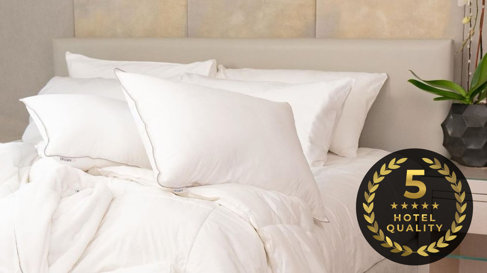 Top 5 Pillows
